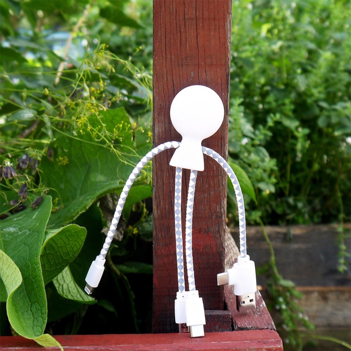 Câble multi-connectiques Mr Bio ! – Compléments d'image